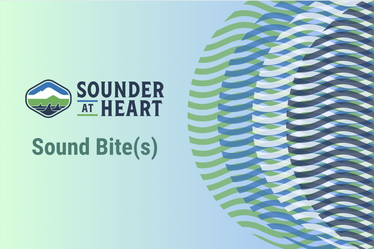 Sound Bite(s), Episode 24: The roster looks pretty complete